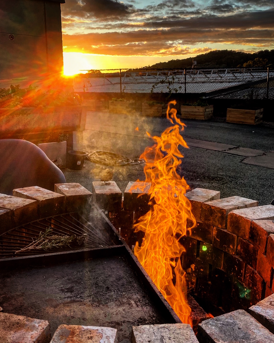 Rituals & Routines – Made OF Australia